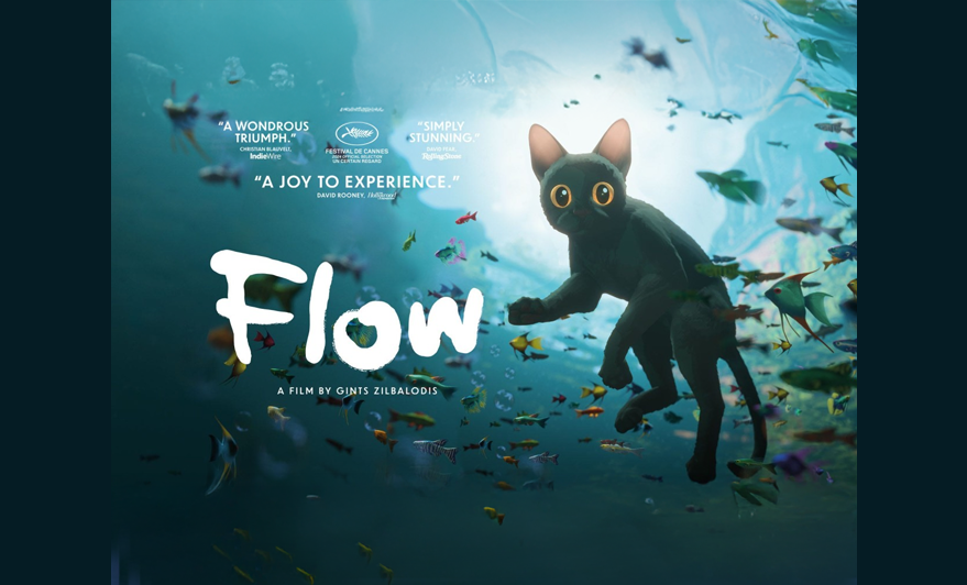 FLOW Movie - Youth Development Network